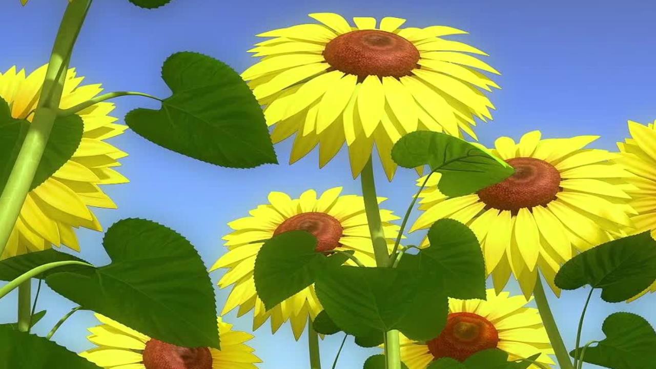 Understanding Earth and Space Systems: Daily and Seasonal Changes ...