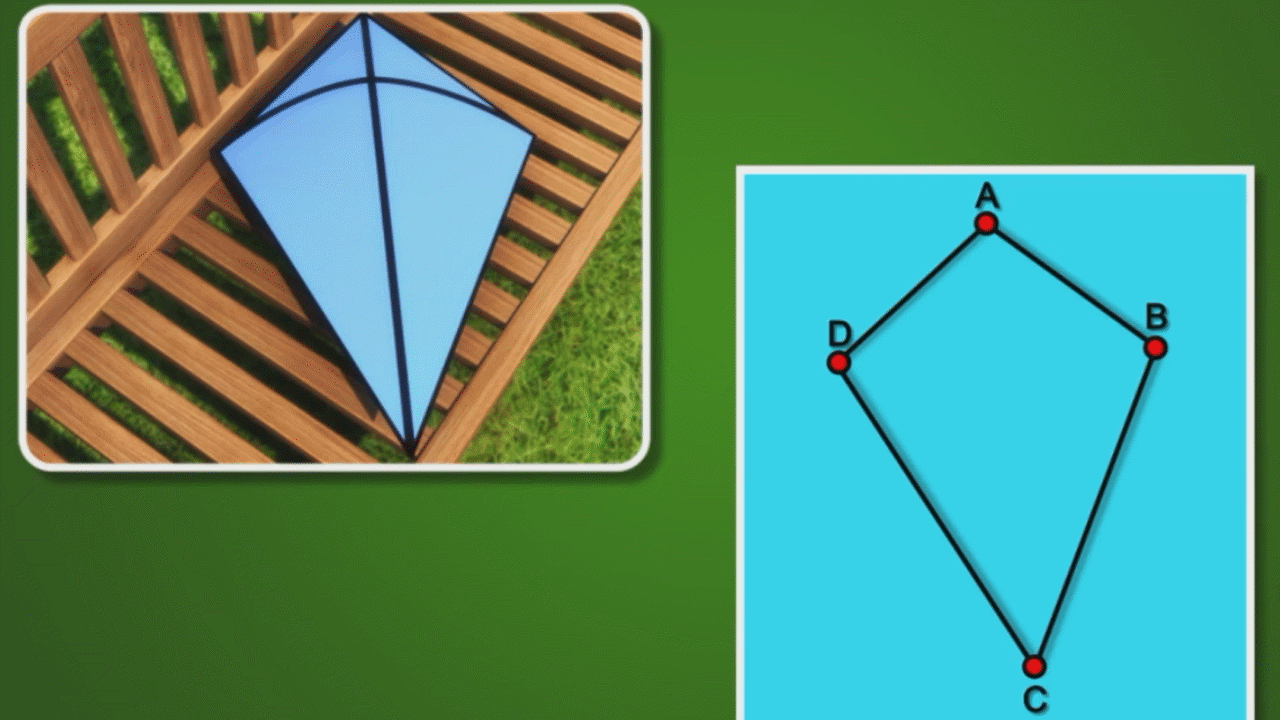Polygons Video & Resources | ClickView