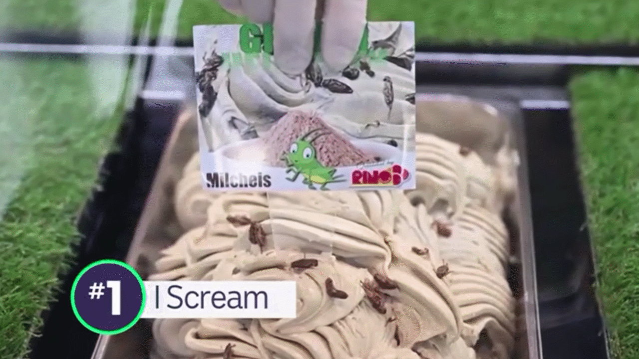 Bug Ice Cream - You might have to dig deep to... - ClickView