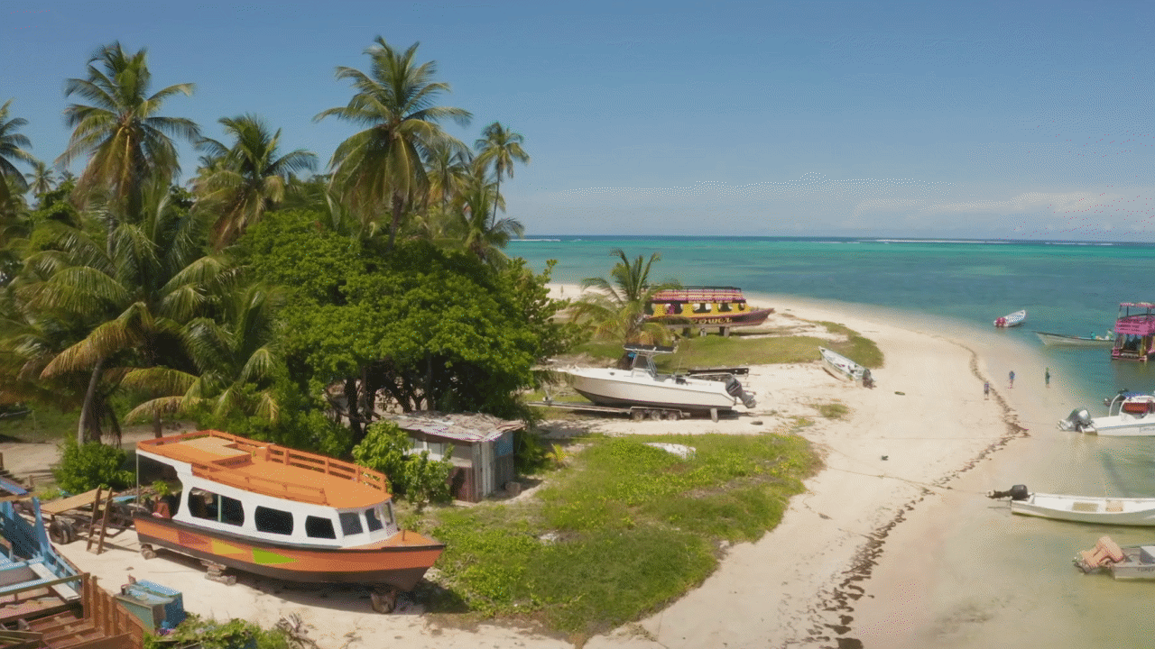 Let's Go to Jamaica Video & Resources | ClickView