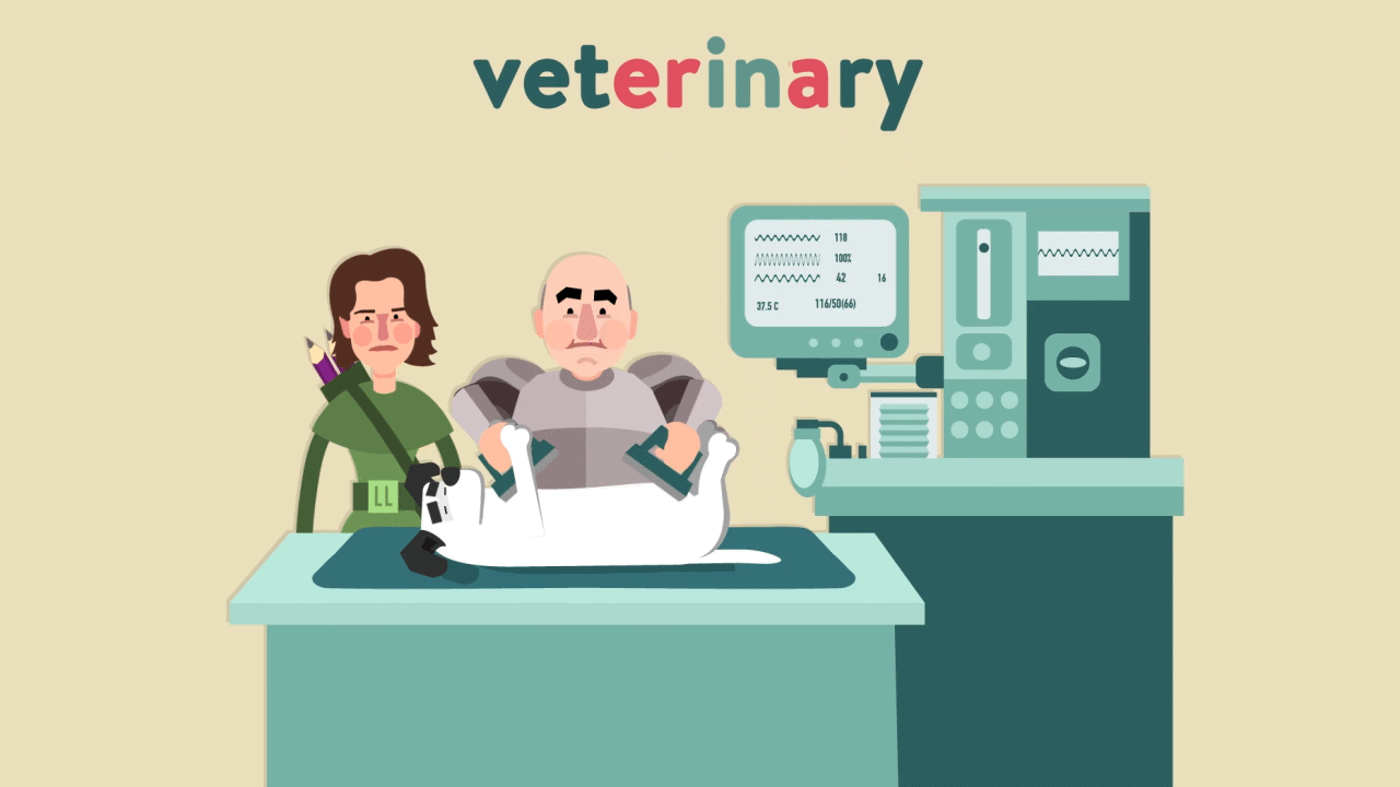Veterinary Video & Resources | ClickView