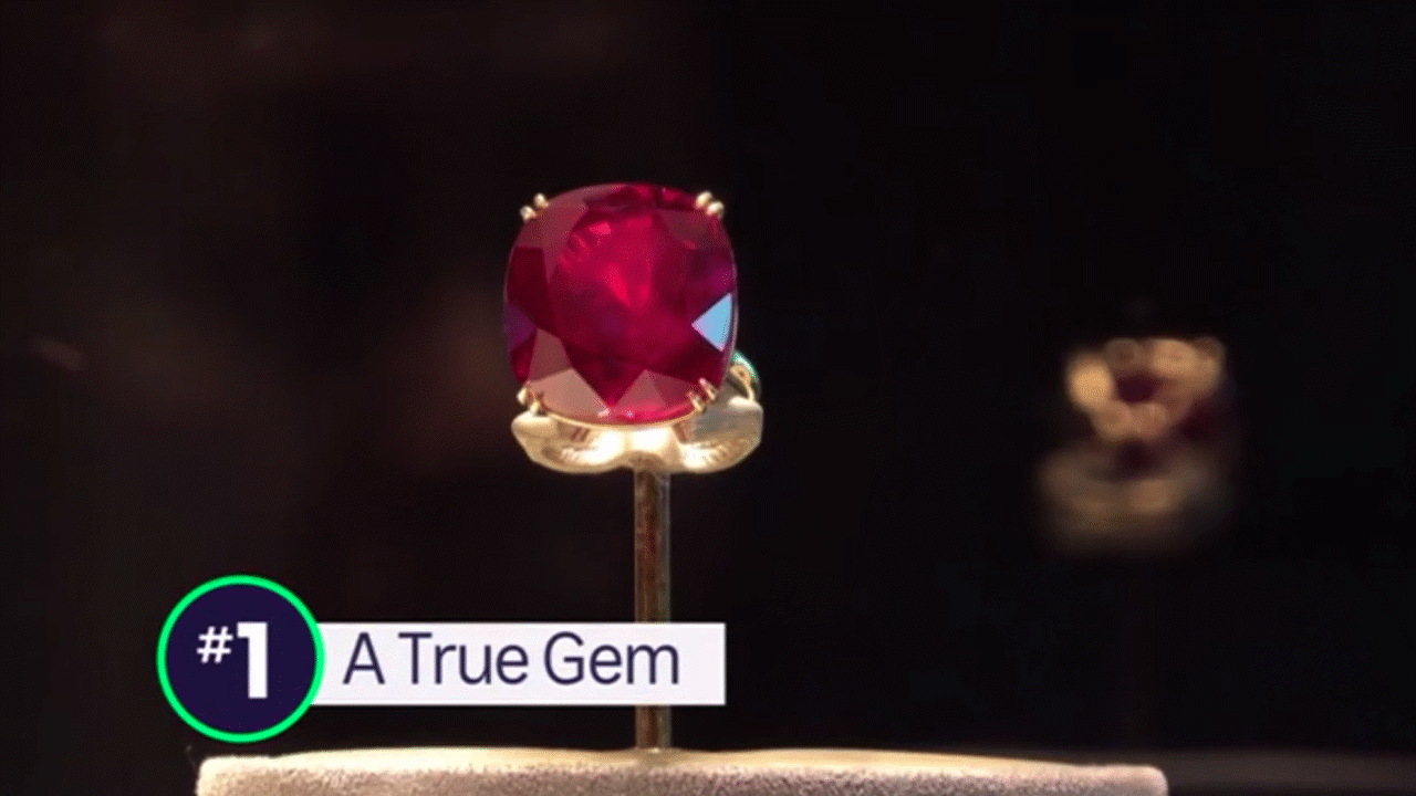 Largest Ruby - First up, to the largest ruby... - ClickView