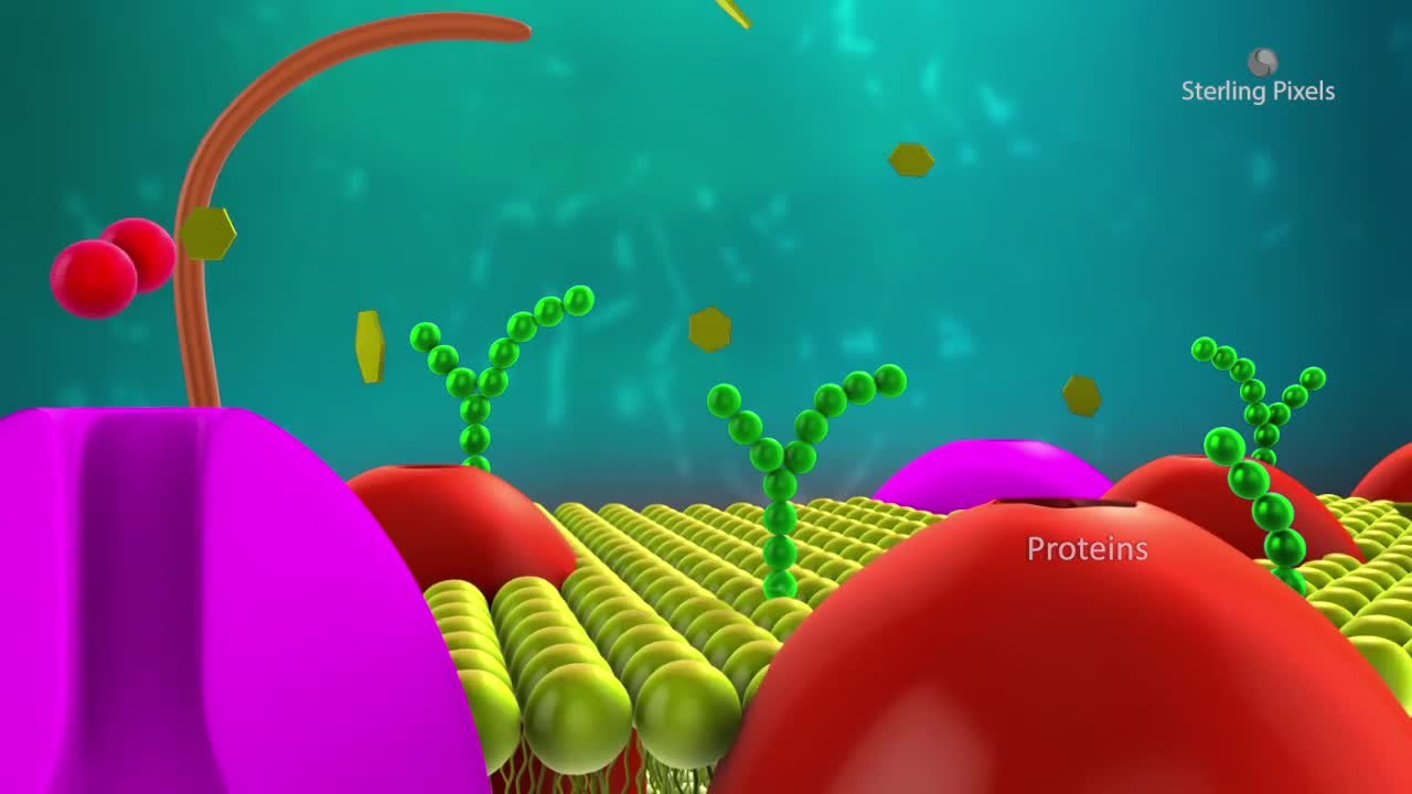 Understanding Life Systems: Cells | ClickView