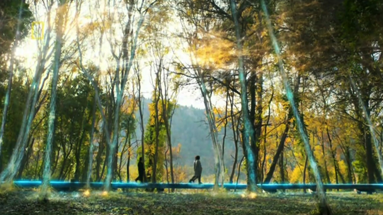 Episode 3: Dude, Where's My Body? - Potential... - ClickView