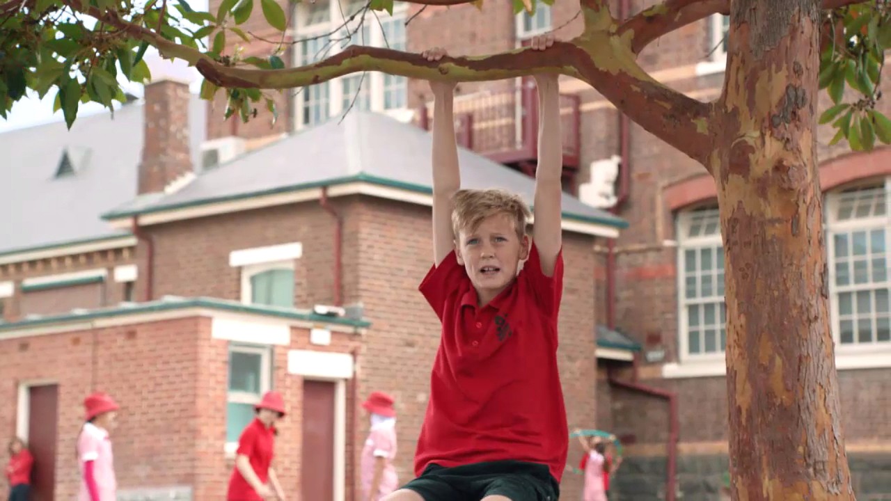 Little Lunch - ClickView Exchange - ClickView