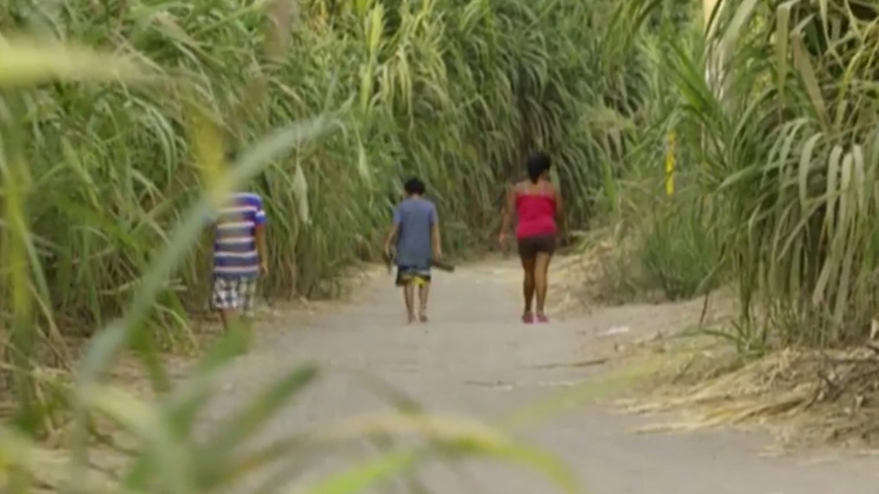 Angel, Rhys And Truc Goes on an Expedition | ClickView