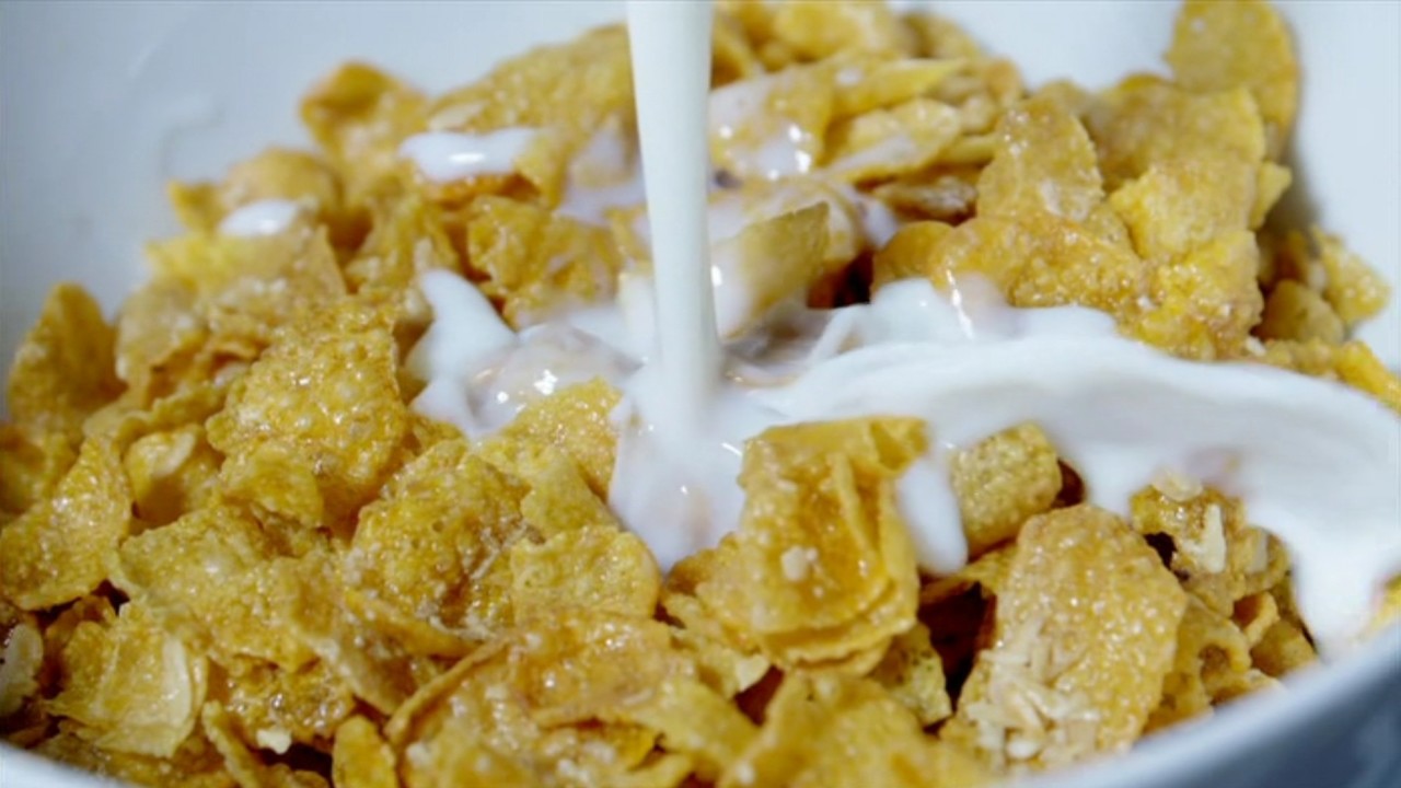 Inside the Factory Videos & Resources | ClickView