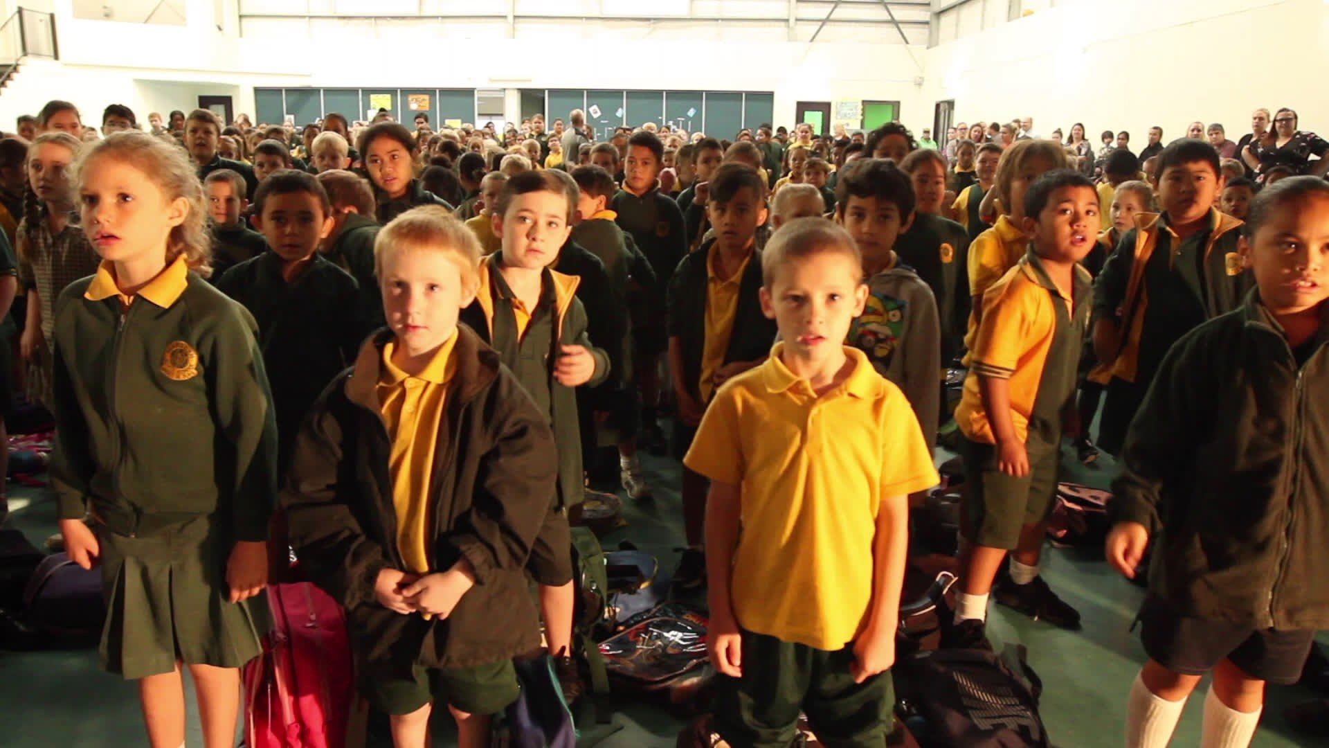 Stop Drop and Go (English) - This is a promot... - ClickView