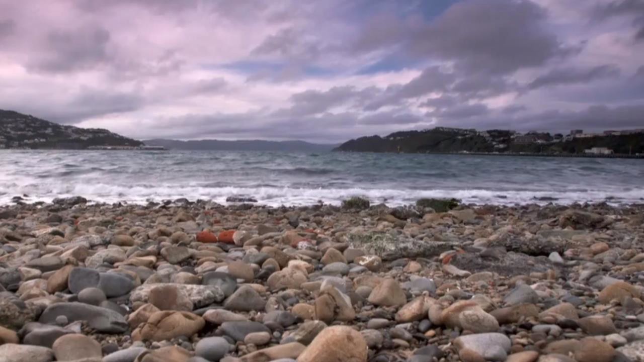 Fair Go: 13/08/2018 - Tonight on Fair Go, sho... - ClickView