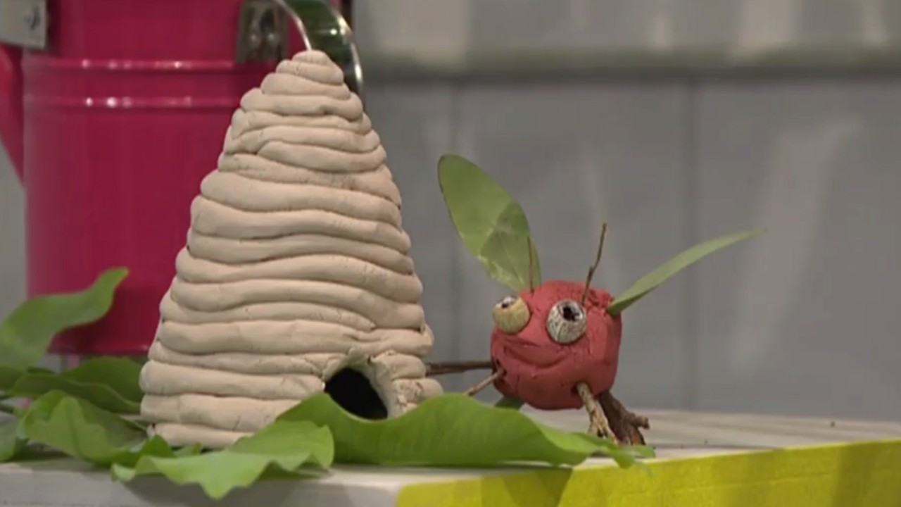 Mini Beasts Video & Resources | ClickView