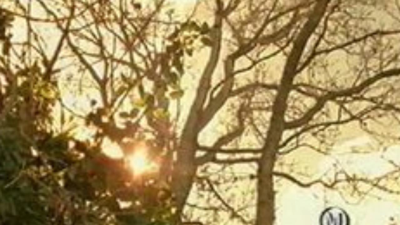 My Brother Jack - David Meredith is seven whe... - ClickView