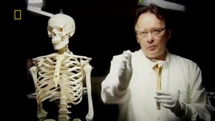 Ghosts of the Crusades - Forensic science bri... - ClickView