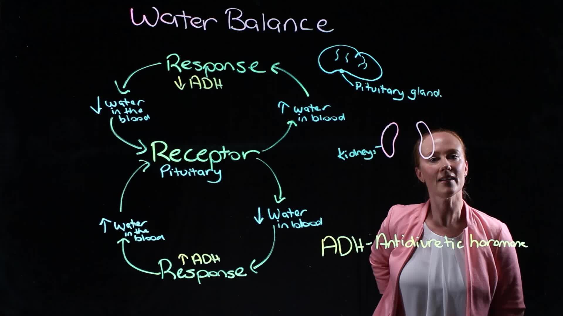 Water balance - ClickView