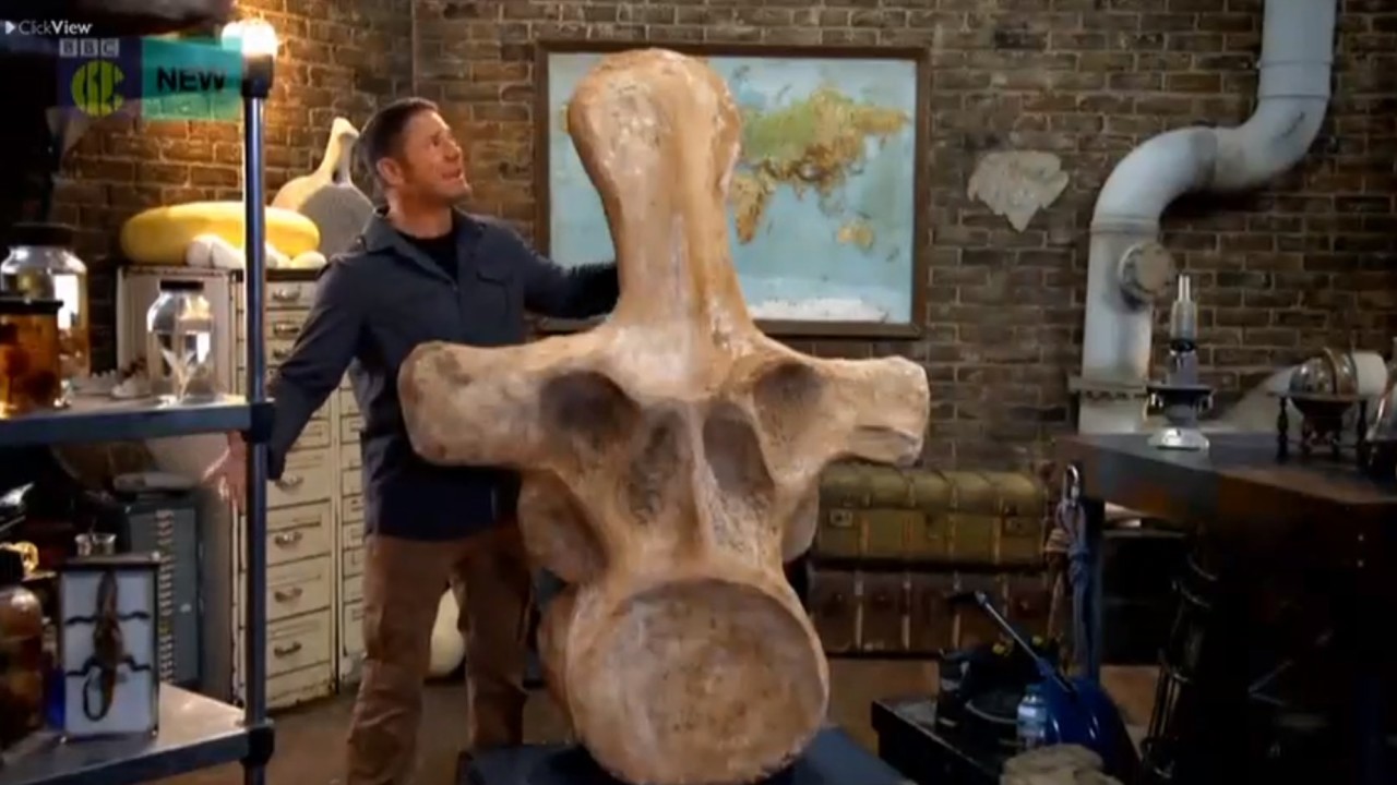 Deadly Dinosaurs with Steve Backshall | ClickView