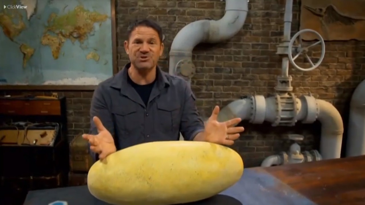 Deadly Dinosaurs with Steve Backshall | ClickView