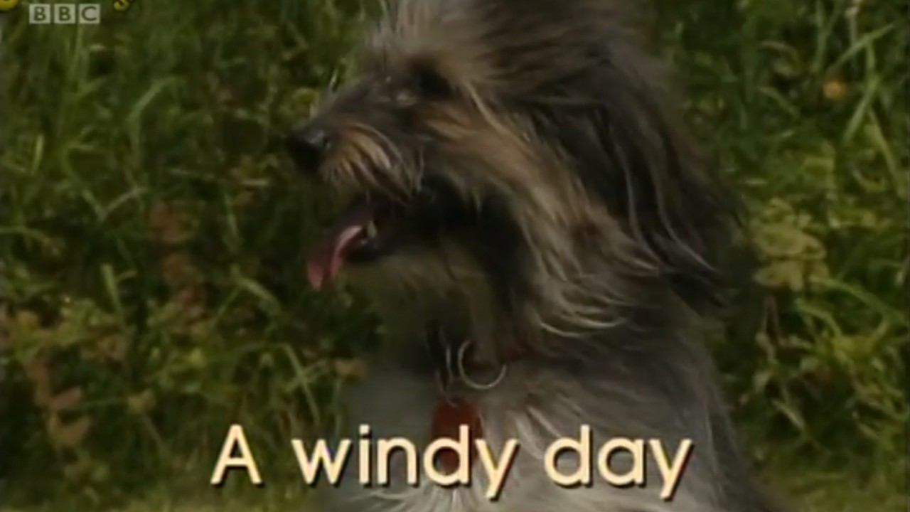 Come Outside Videos & Resources | ClickView