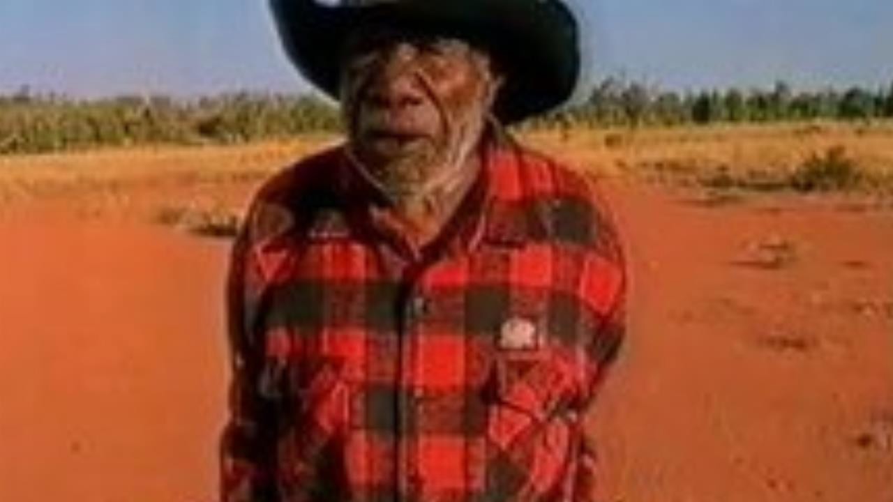 The Chase - A comical look at the way bush Ab... - ClickView