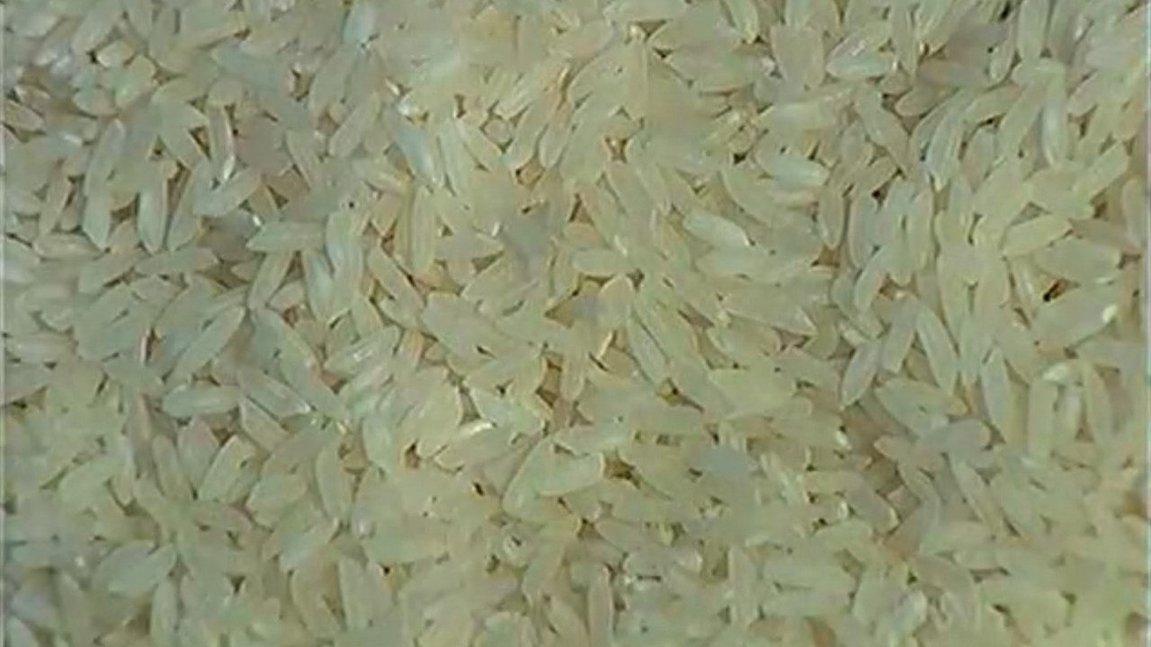 Farm to Table: Rice Video & Resources | ClickView