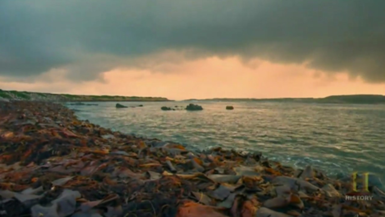 Tasmanias Coast And Bass Strait Islands Neil Clickview