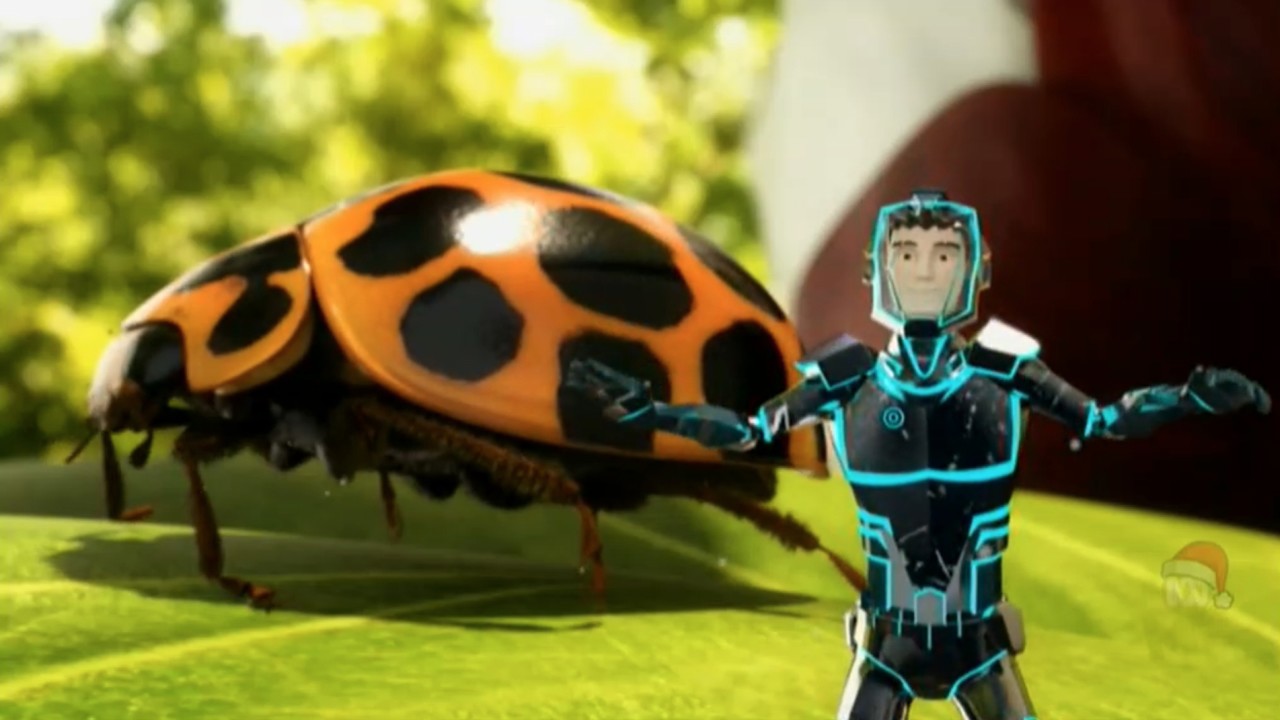Meet the Exterminator: Ladybird - Minibeast h... - ClickView