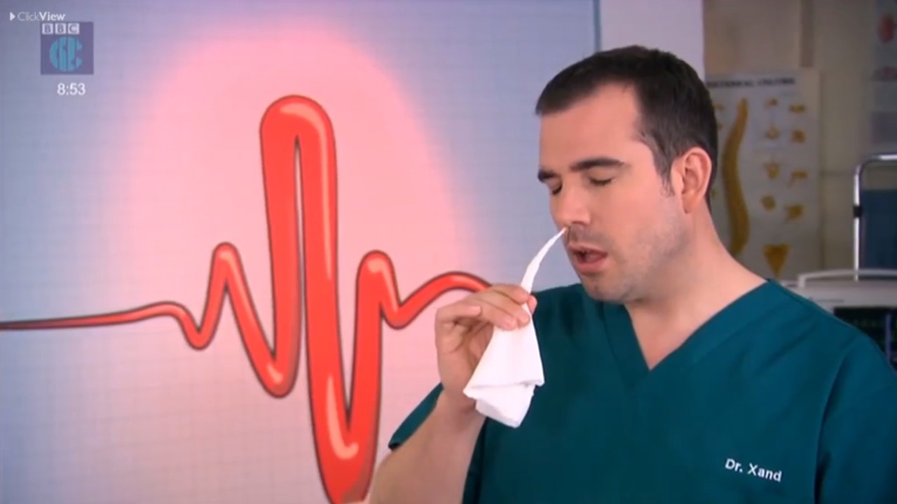 Operation Ouch! Videos & Resources | ClickView