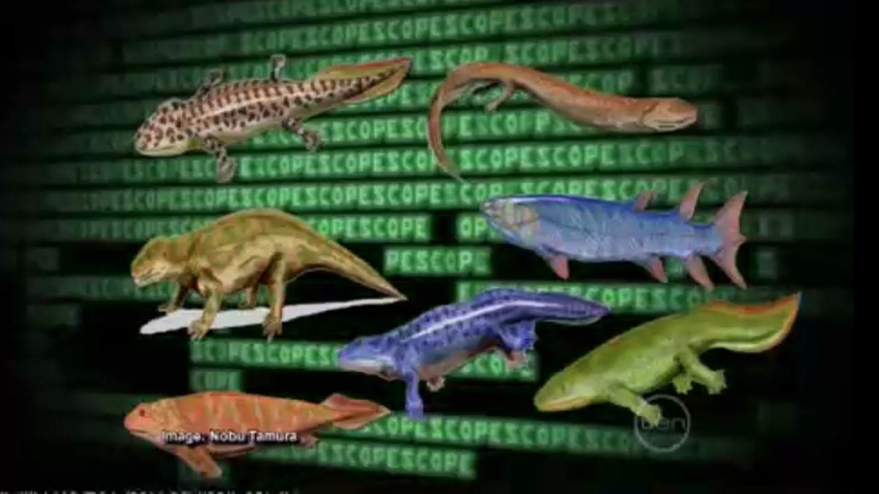 Things That Have Legs - ClickView