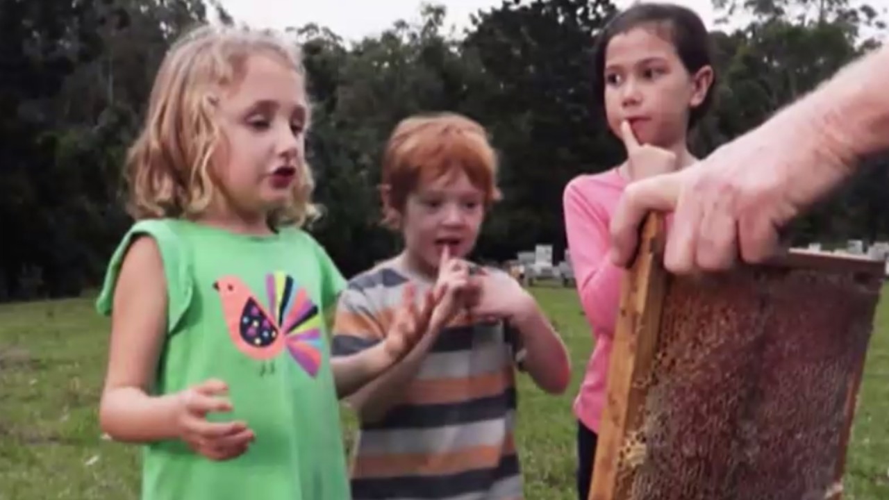 Play School Videos & Resources | ClickView