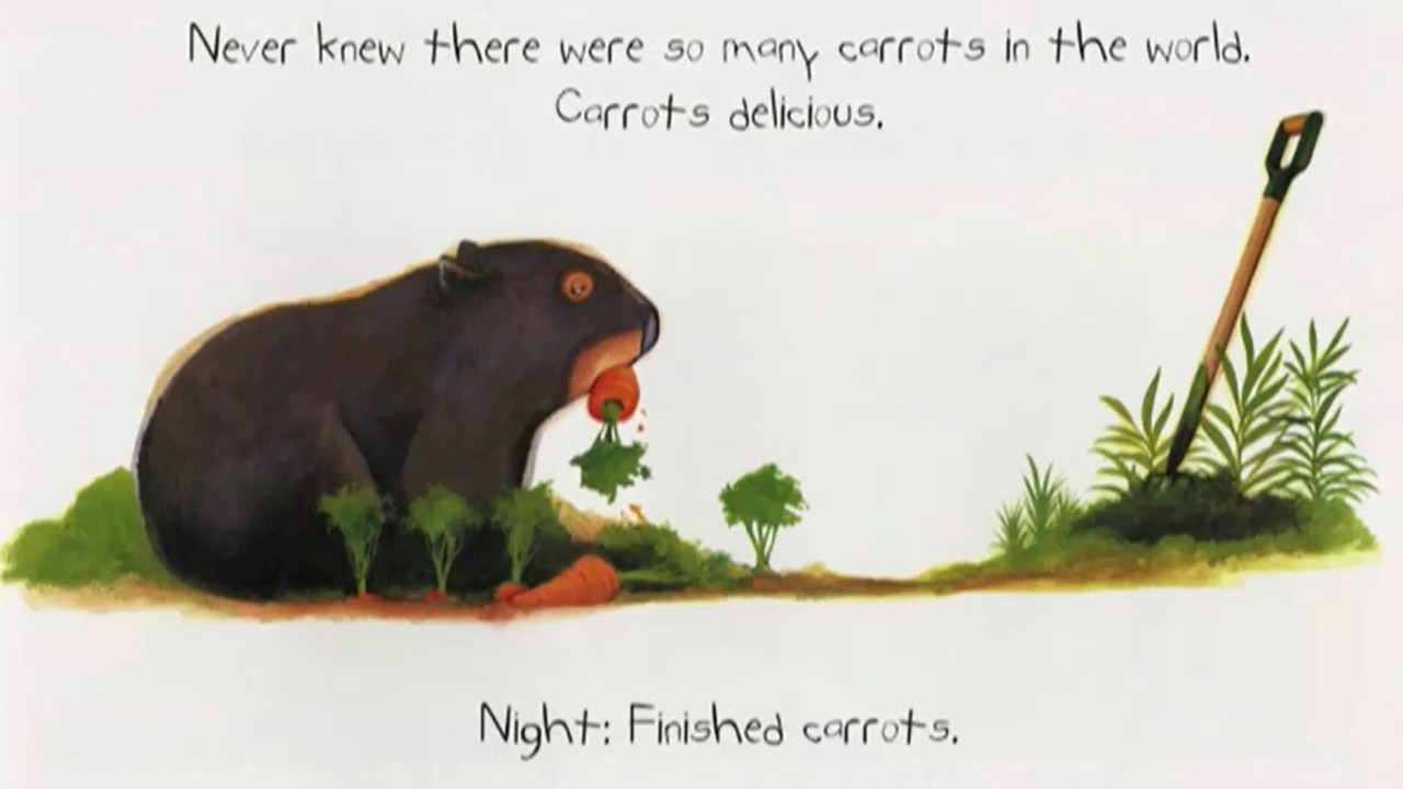 Diary of a Wombat by Jackie French | ClickView