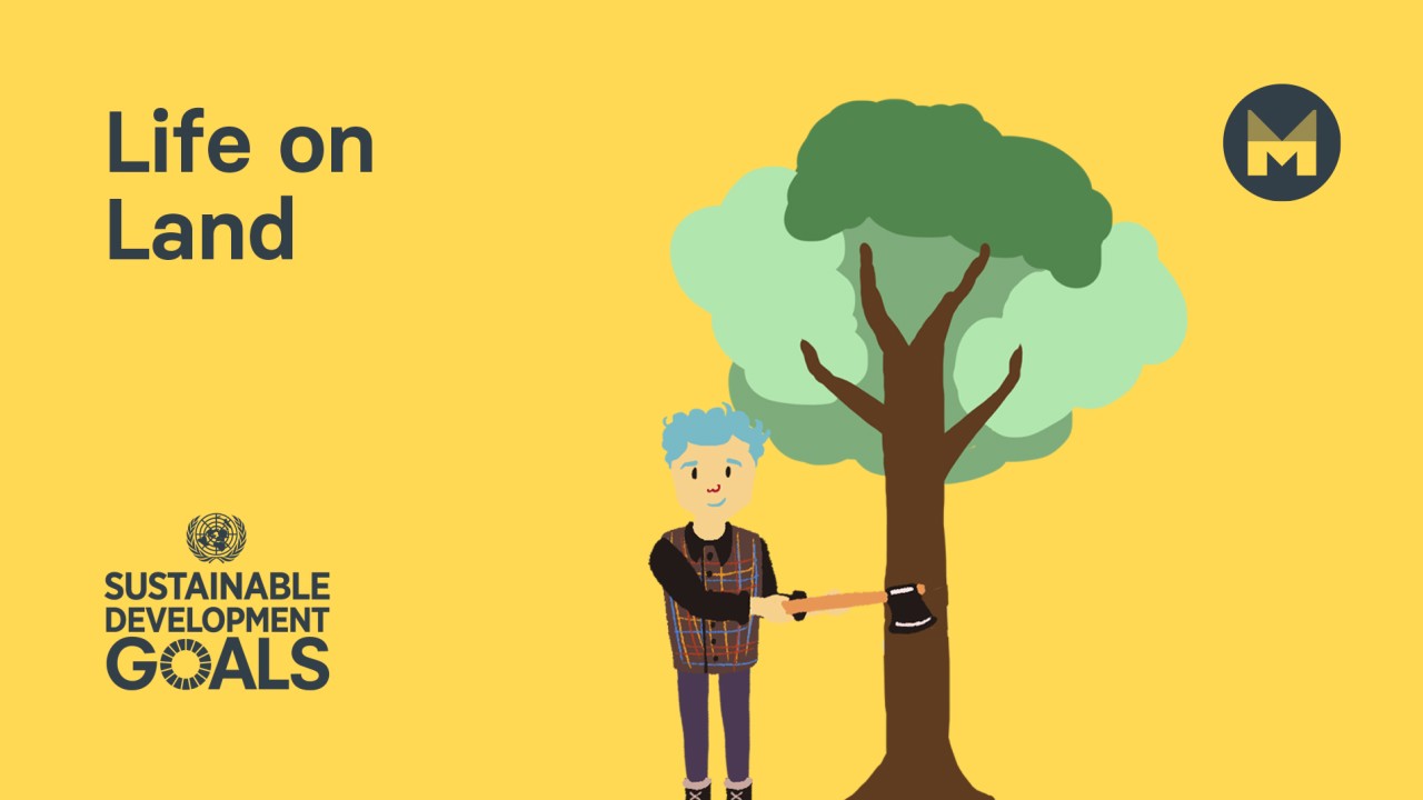 Global Goal 15 Life On Land Video Teaching Resources Clickview