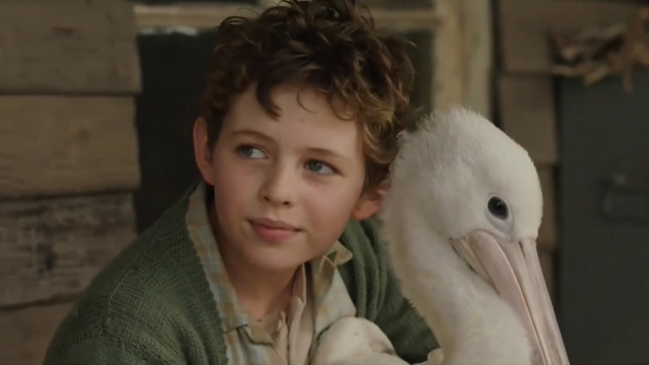 Storm Boy (CC) Video & Resources | ClickView