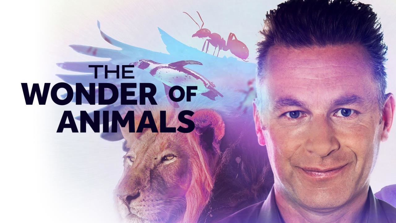The Wonder of Animals - Airs 7:30 PM 12 Mar 2020 on BBC FOUR - ClickView