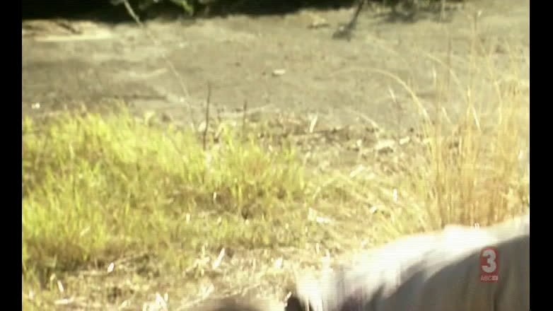 Embedded Online Player - ClickView