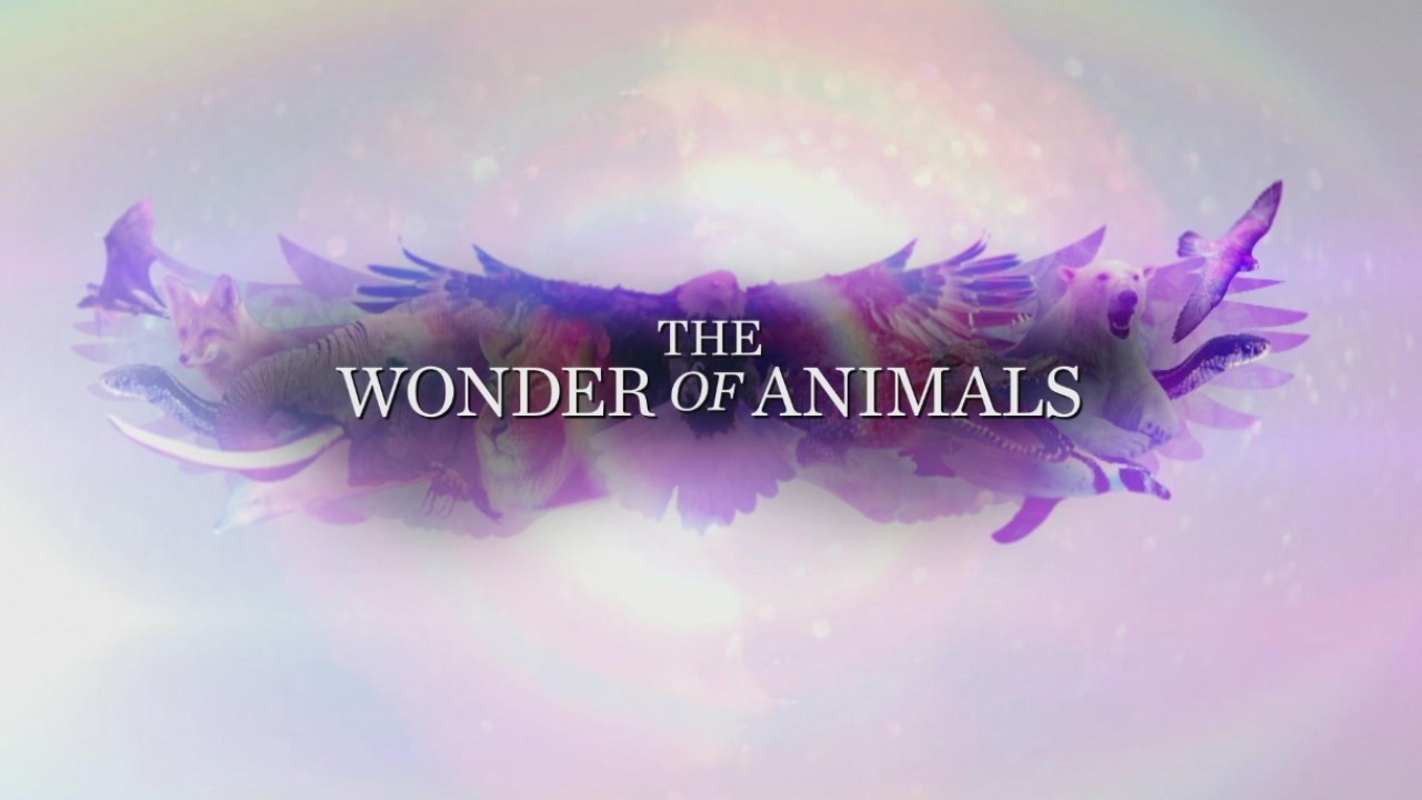 The Wonder of Animals - Airs 7:30 PM 2 Apr 2020 on BBC FOUR - ClickView
