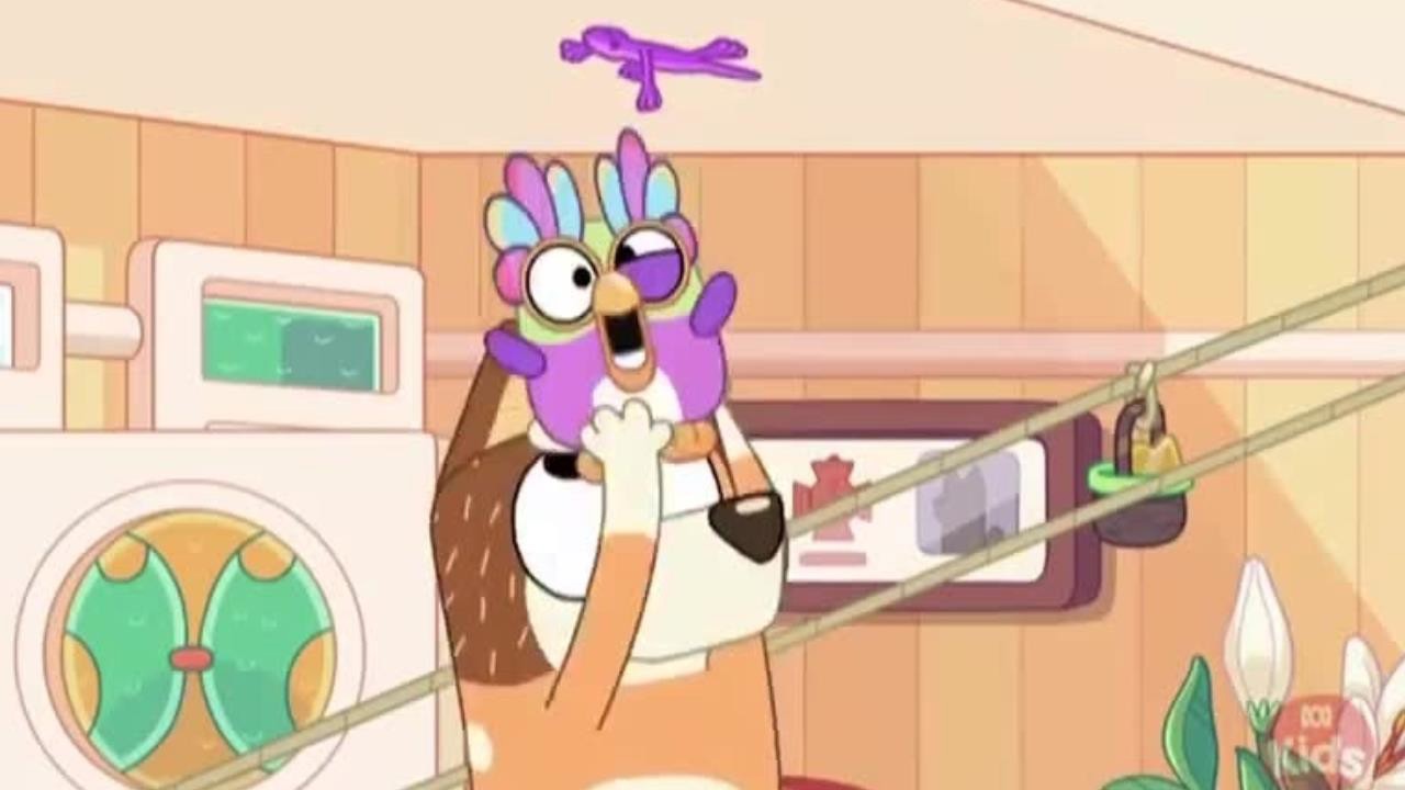 Sticky Gecko Video & Resources | ClickView