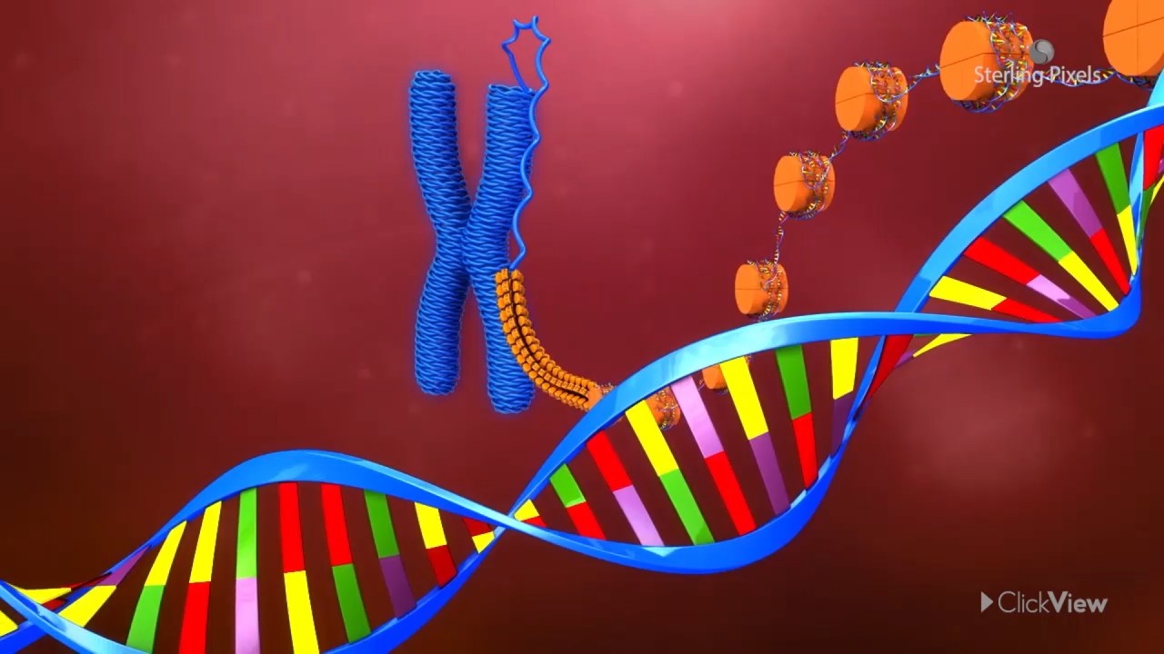 Embedded Online Player - ClickView