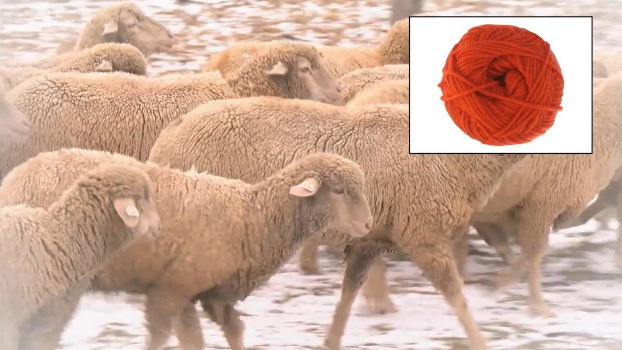 Where Do Materials Come From Video Teaching Resources ClickView