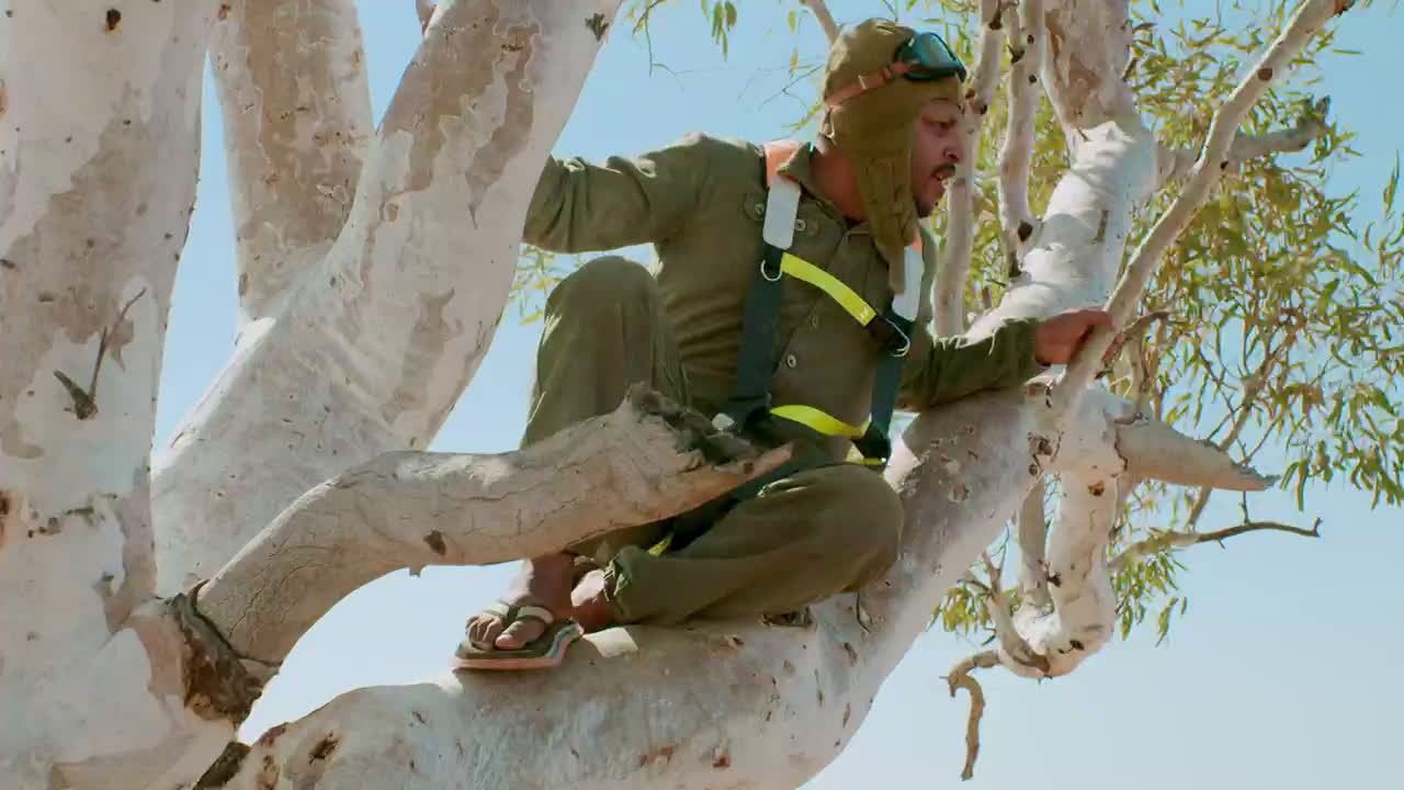 Escape and Man up the Tree Video & Resources | ClickView