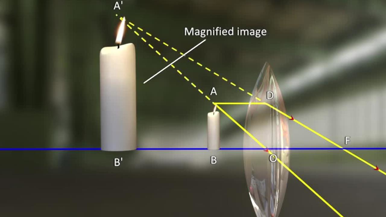 Simple Microscope Video & Resources | ClickView