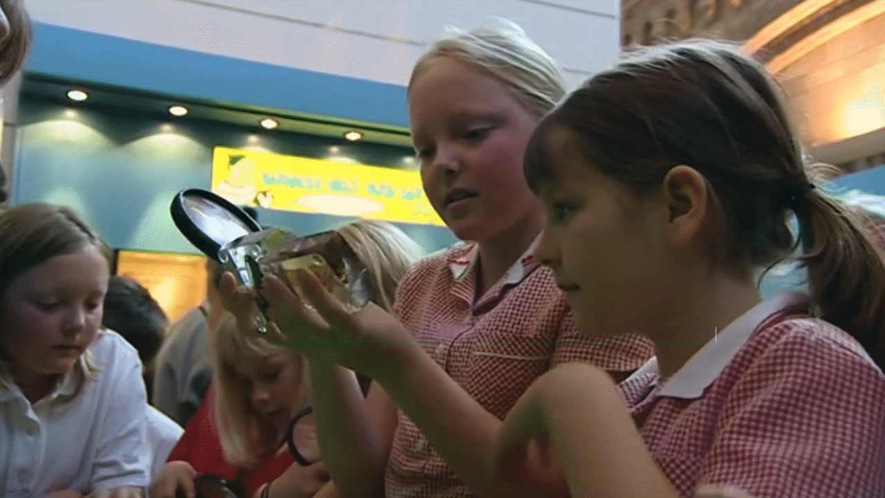 Creepy Crawlies - Rodmell primary school in L... - ClickView
