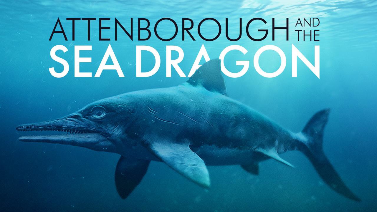 Attenborough and the Sea Dragon - Airs 5:35 PM 23 Aug 2020 on BBC ONE ...