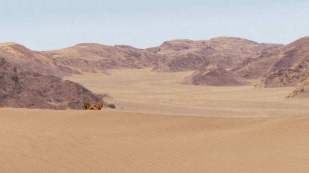 Planet Earth II Videos & Resources | ClickView