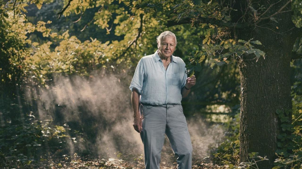 Extinction: The Facts - Airs 8:00 PM 13 Sep 2020 on BBC ONE - ClickView
