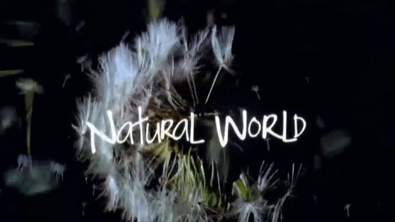 Natural World - Airs 7:00 PM 27 Sep 2020 on BBC FOUR - ClickView