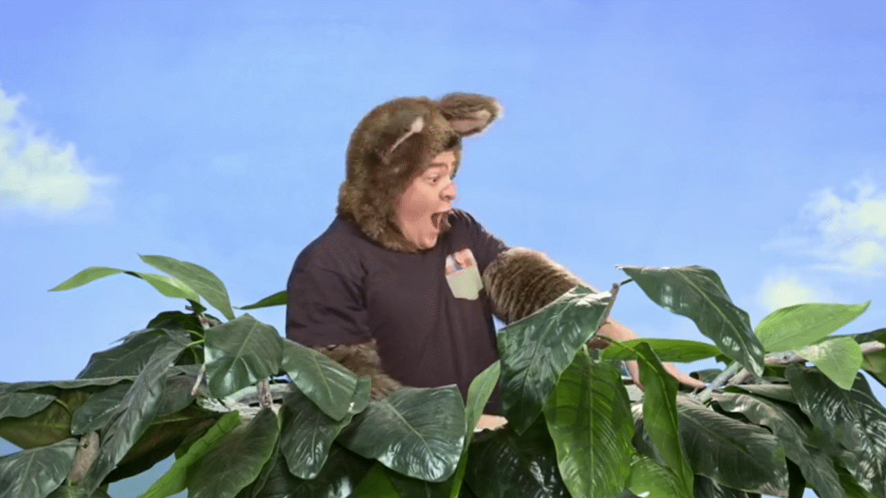 Possum's Map Video & Resources | ClickView