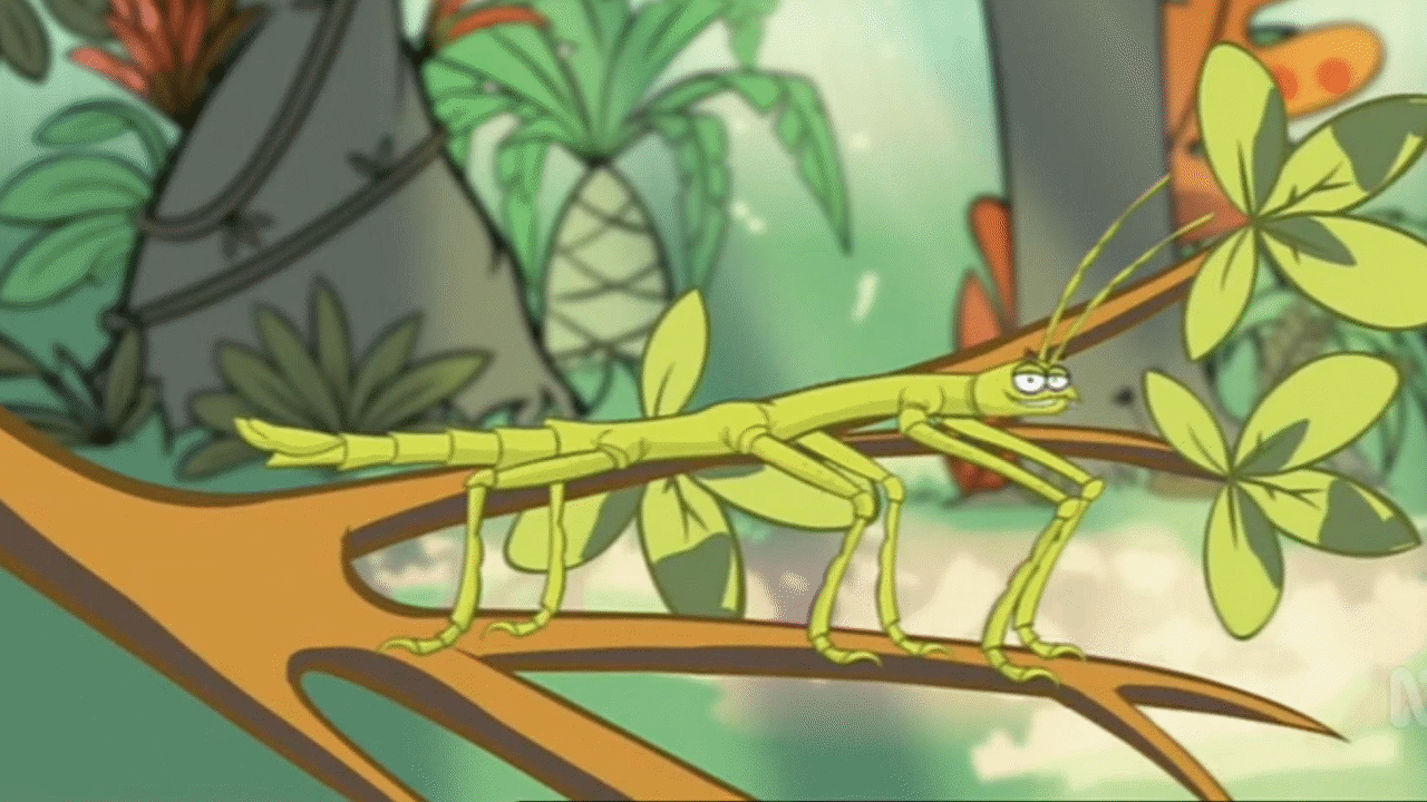 I'm a Creepy Crawly Videos & Resources | ClickView