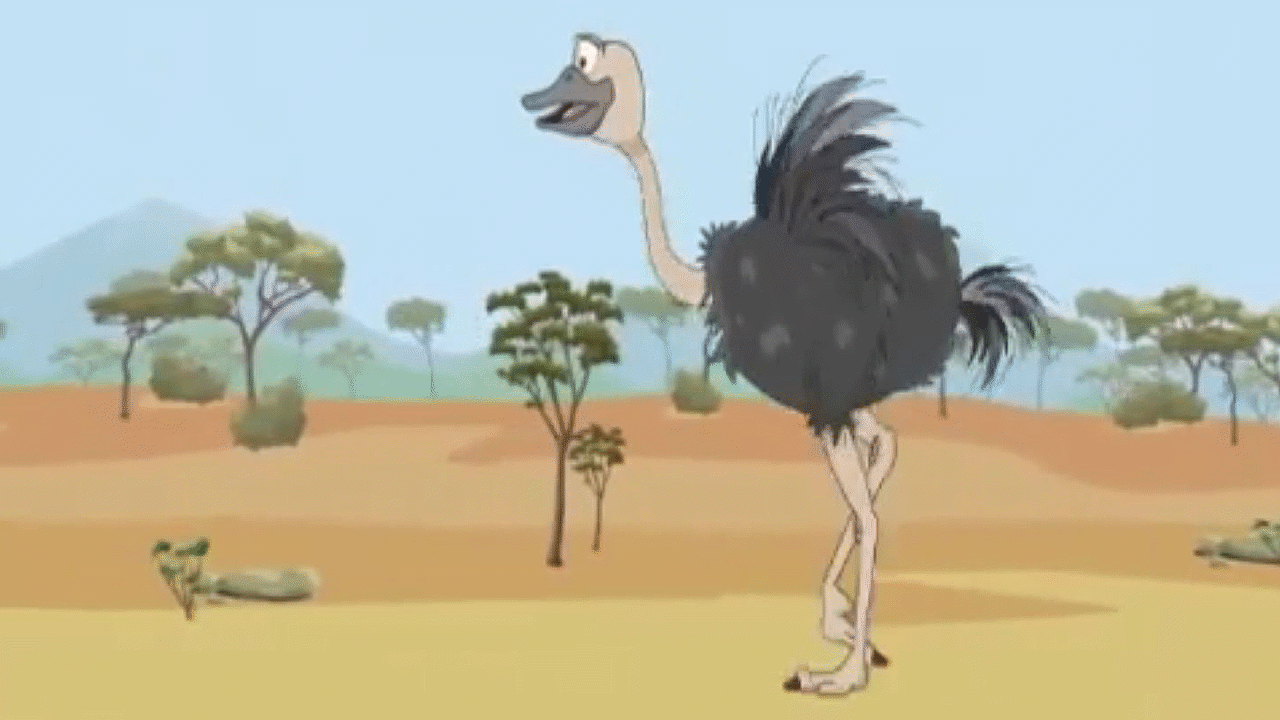 Why Is the Stick Insect Like a Stick? Why Did the Ostrich Stop Flying ...