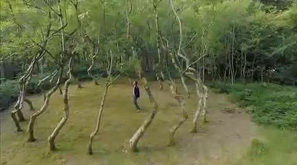 Art out of Nature Videos & Resources | ClickView