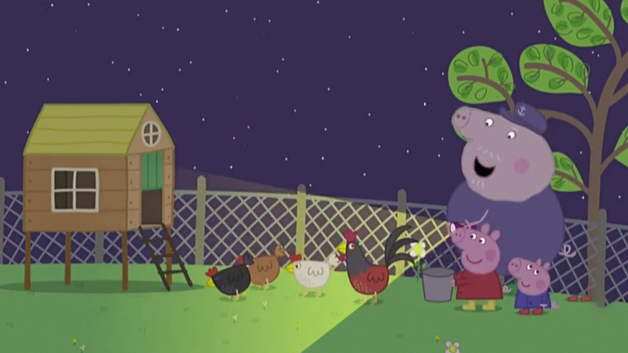 Night Animals Video & Resources | ClickView