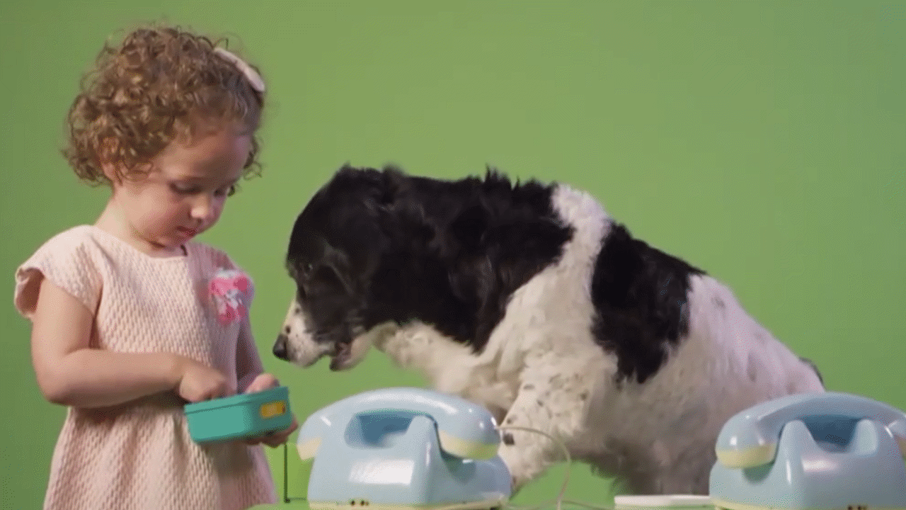 Episode 35 Video & Resources | ClickView