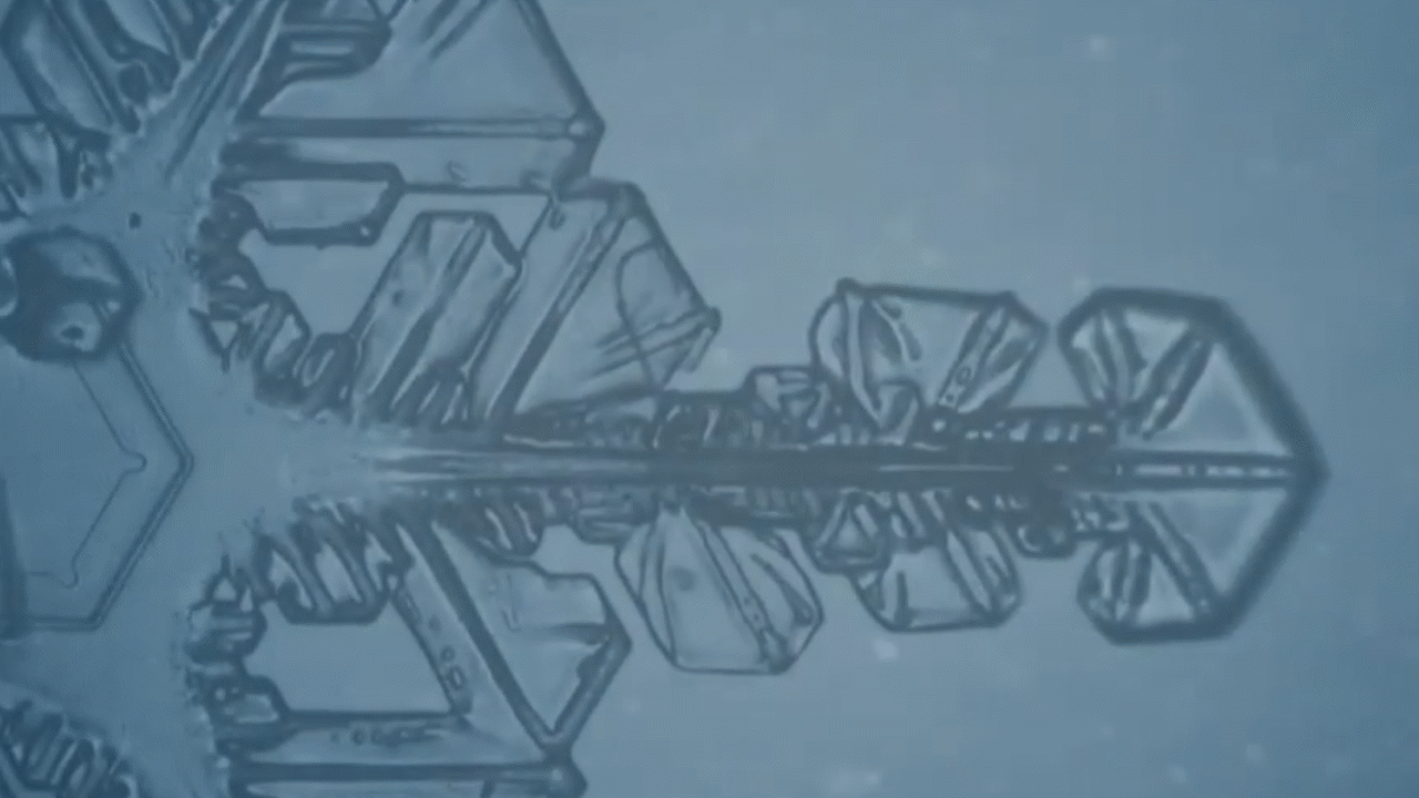 Snowfall Video & Resources | ClickView